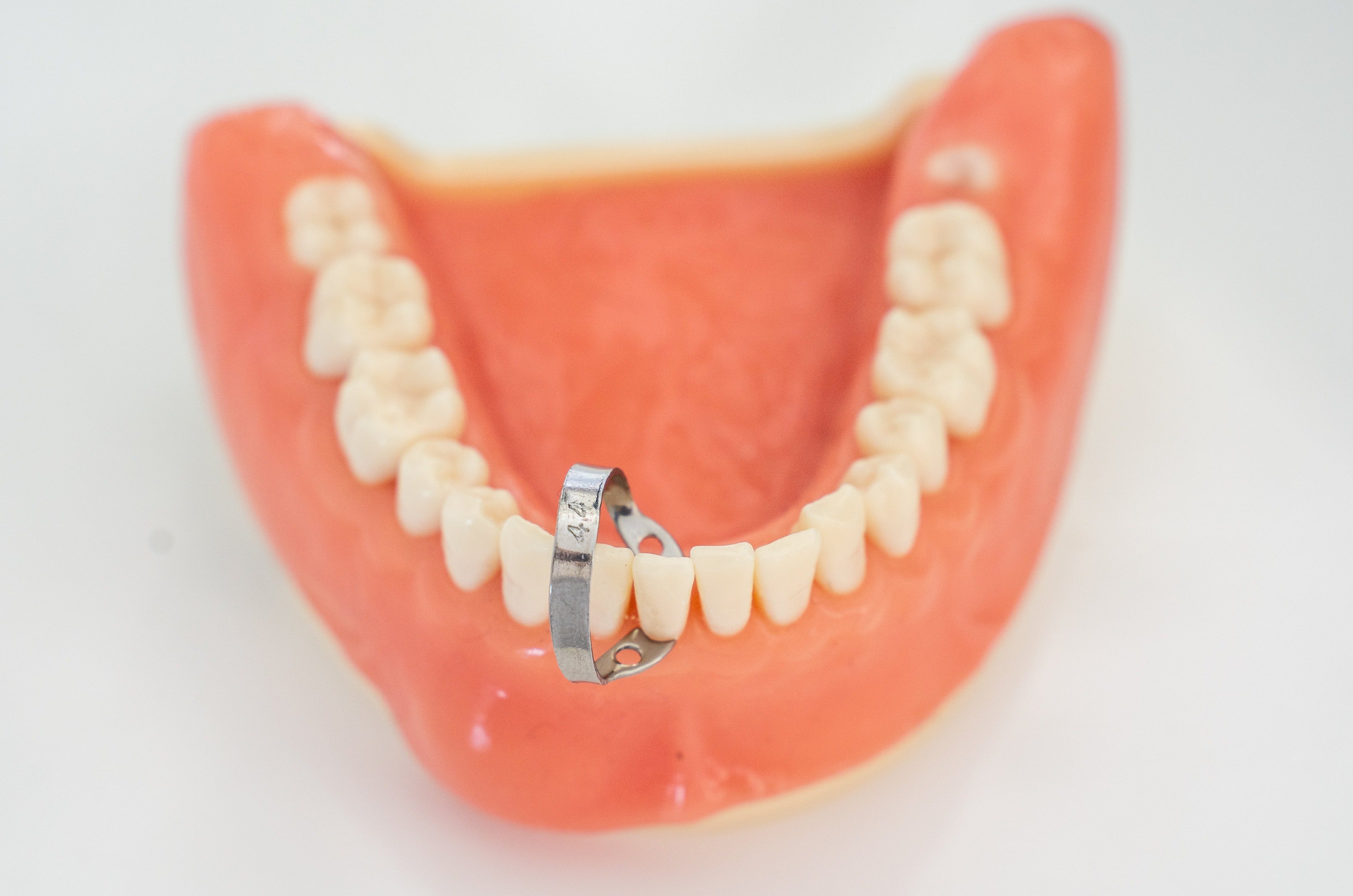 Clamp - #44 – EndoEquip